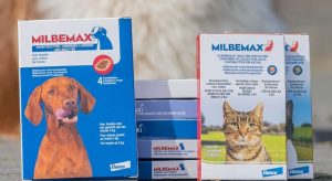 Milbemax Official Website - Premium Pet Parasite Protection